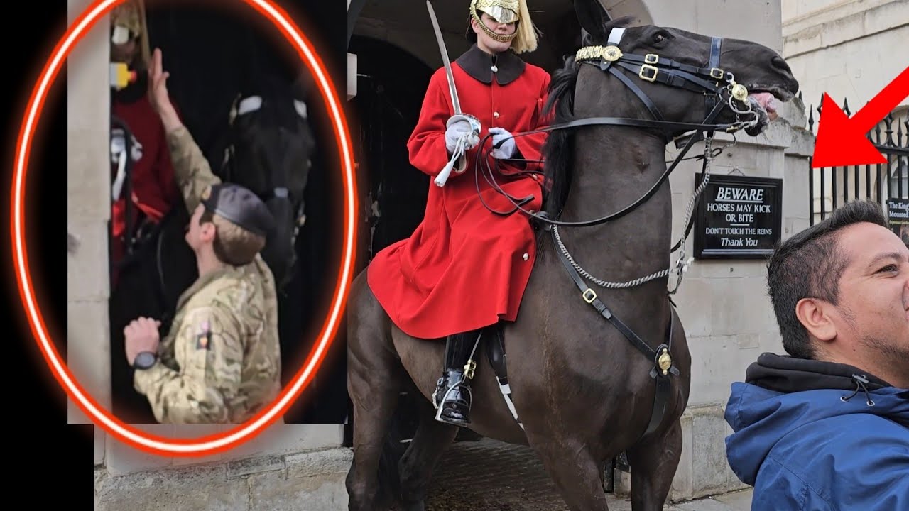 "GET BACK"! King's Guard Moves His Horse Forward To Get Rid This Man ...