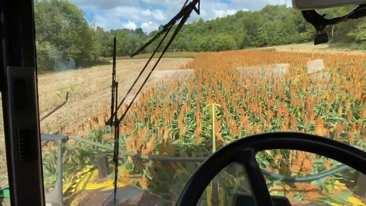 Chopping Milo For Silage - YouTube