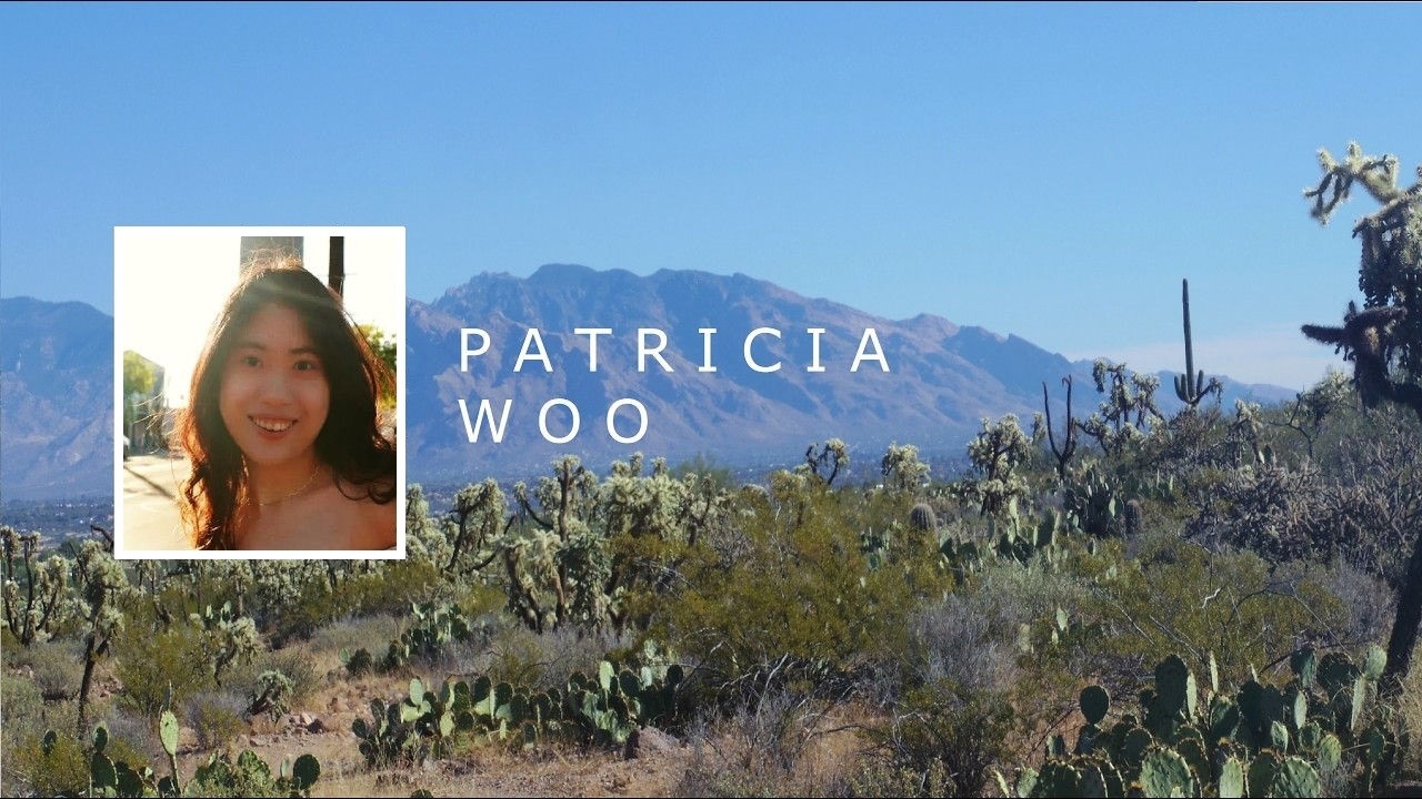 Case Study 52: The Disappearance of Patricia Woo - YouTube