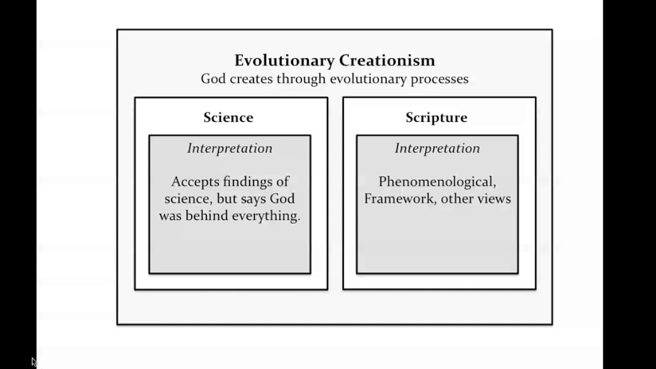 Evolutionary Creationism Model - YouTube