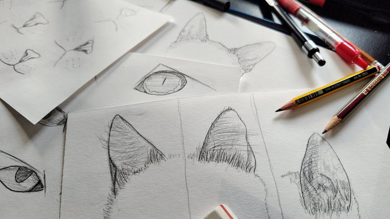 Drawing Cat Ears Pt5 HOUR 212/10K - YouTube