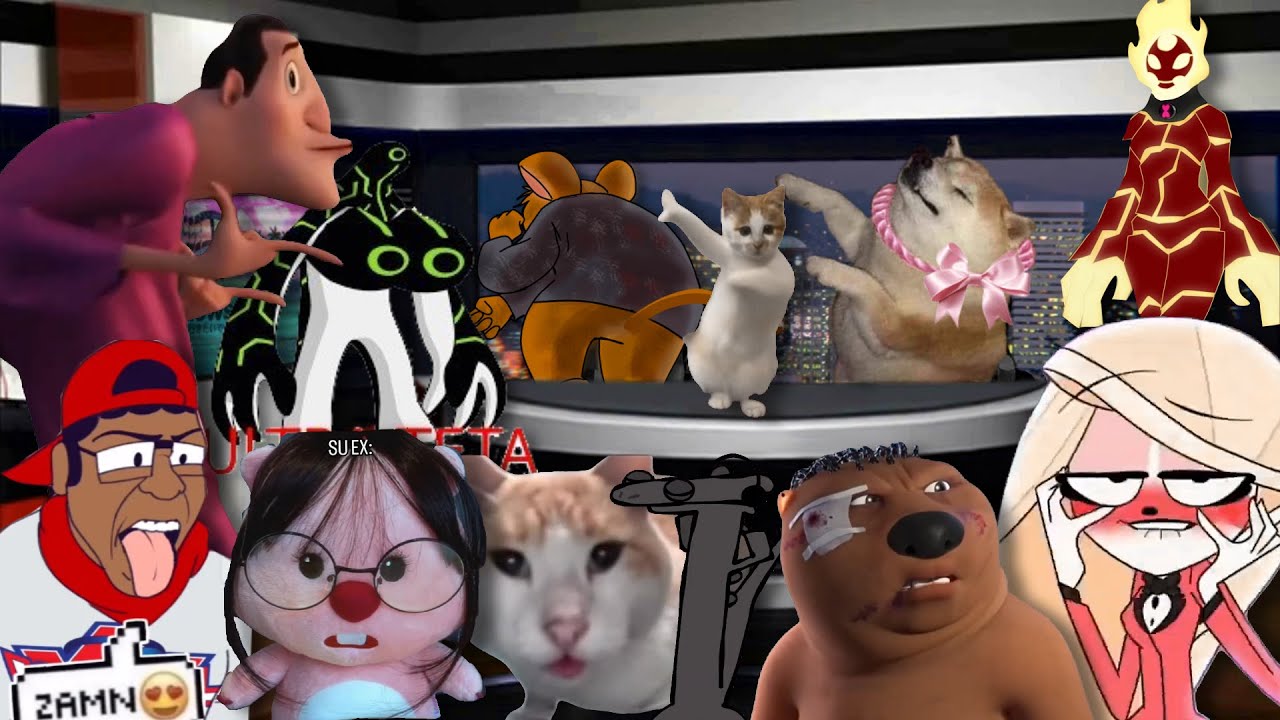 MEMES que costaron 50k |Soy un buen compa| Coquette| Mascotas bailando ...