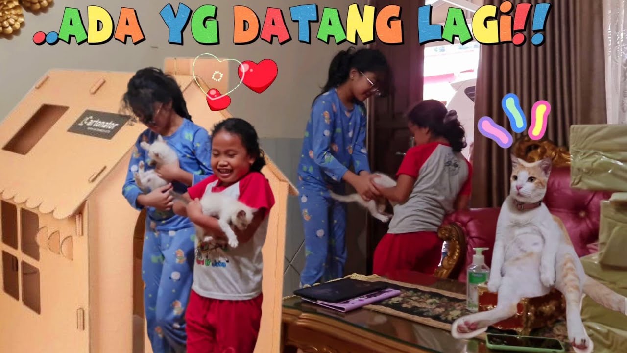 Daily Ramadhan - Hanum Bocil Usiil ke Yakya, Lihat Reaksinya Saat Ada ...