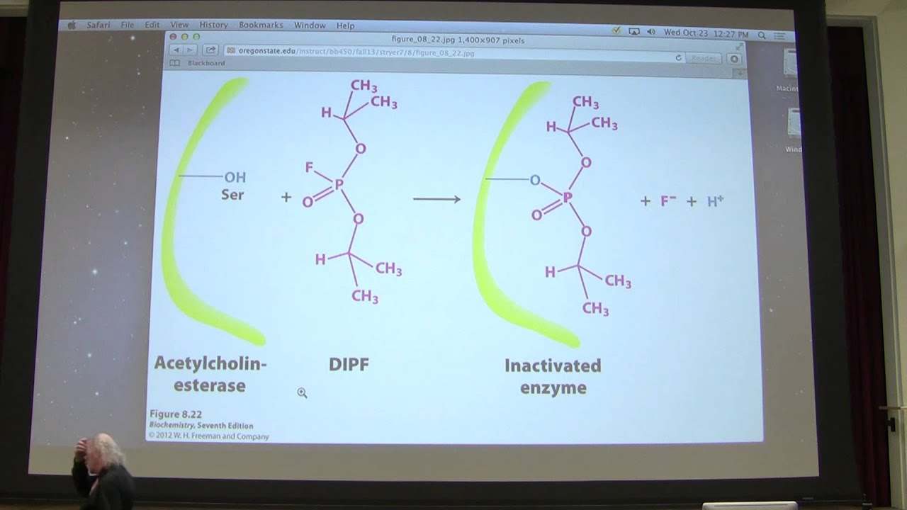 11. Kevin Ahern's Biochemistry - Enzymes III - YouTube