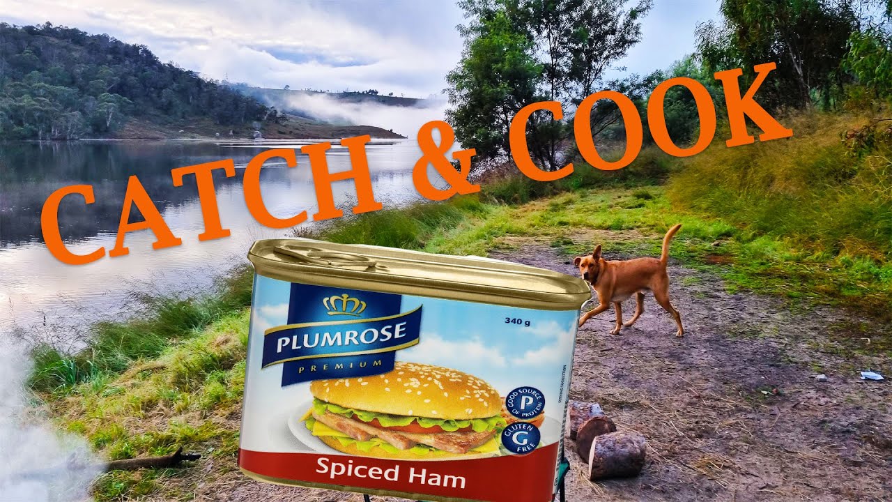 WE CAMPED & CAUGHT PLUMROSE LEG HAM - YouTube