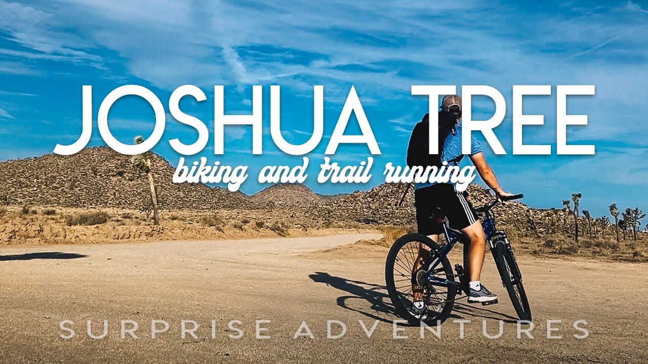 RUNNING & BIKING IN JOSHUA TREE NATIONAL PARK - YouTube