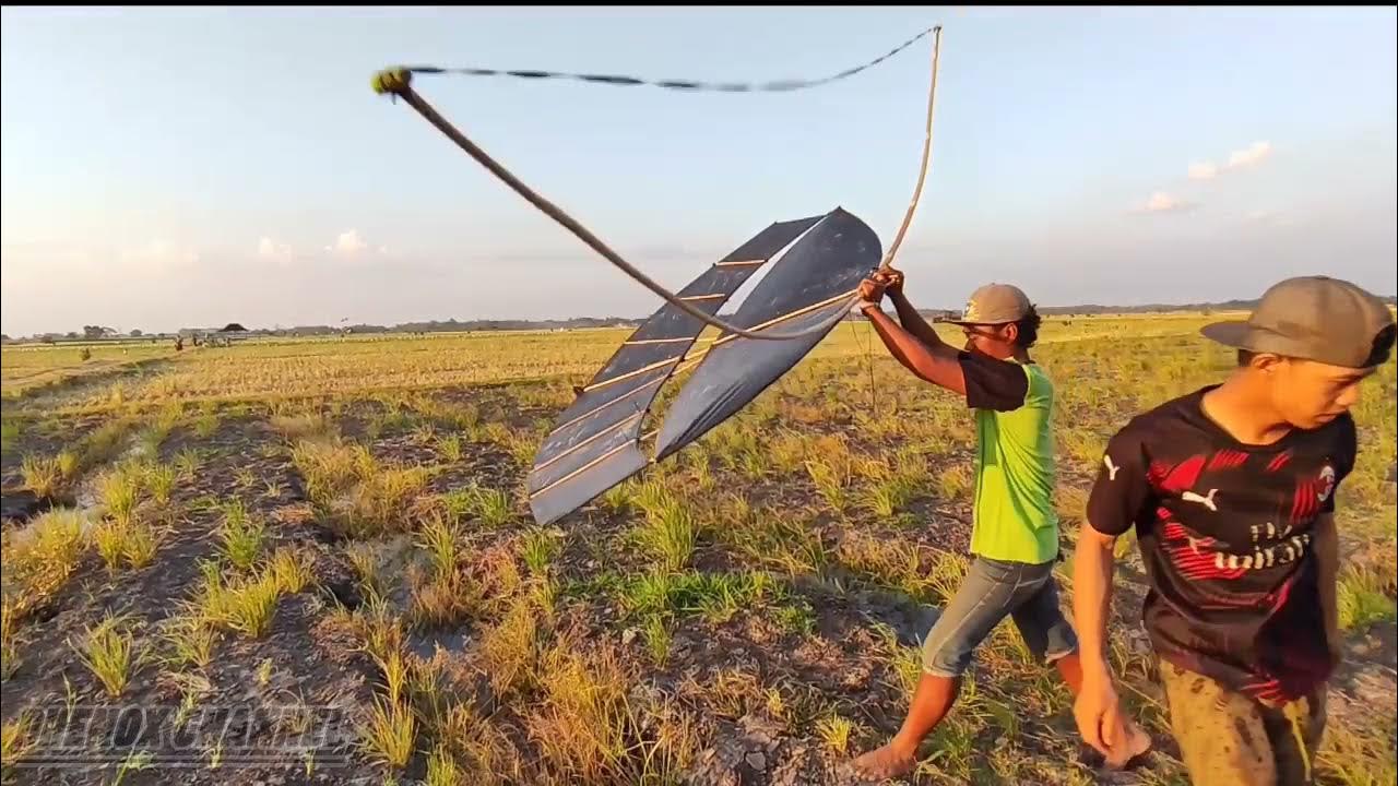 PROSES SETTING LAYANGAN PEGON CEPER UKURAN 220CM - YouTube