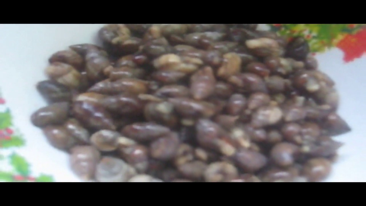 CHUROS COMIDAS EXÓTICAS ECUADOR REPORTÓ EL MUÑECOSIN - YouTube