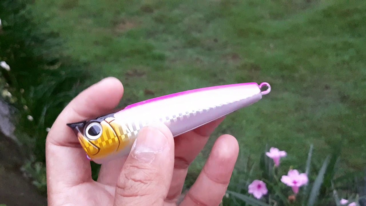 The POP-ORCA features a unique ‘Bubble Chamber’ - YouTube