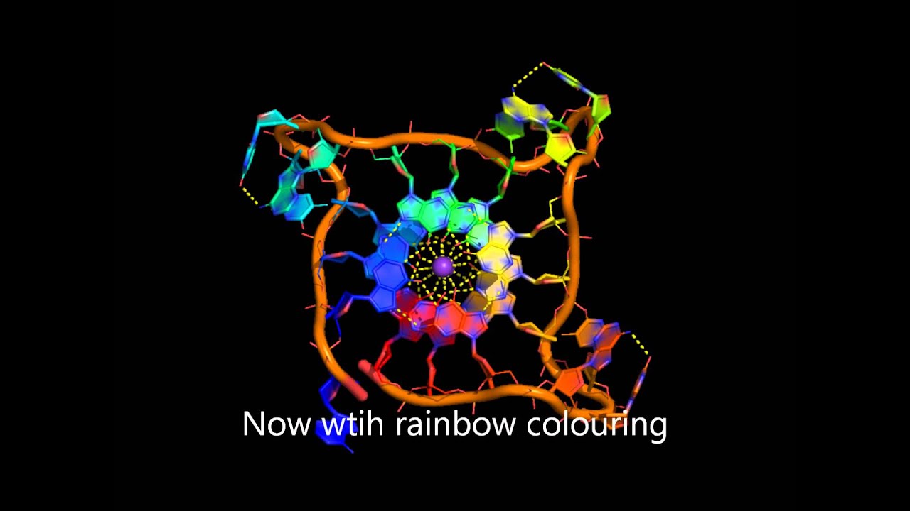 The parallel DNA G-quadruplex - YouTube