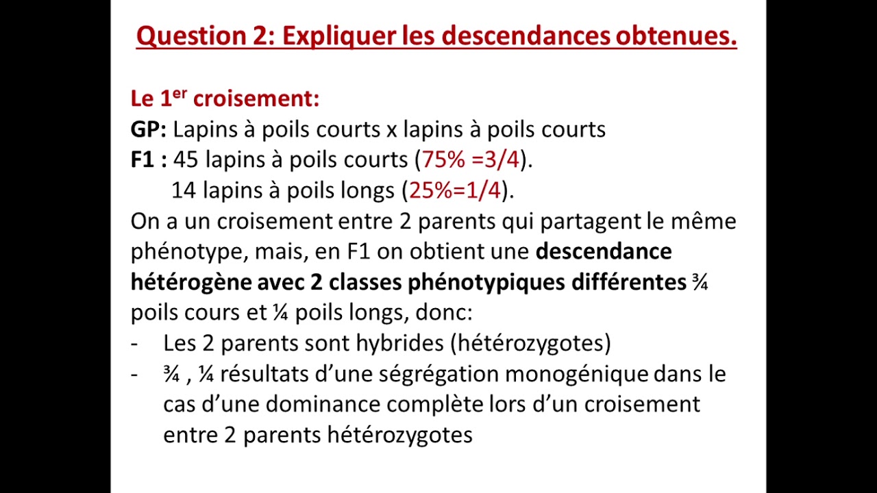 Monohybridisme/Monohybridisme chez les diploïdes/Excercice - YouTube