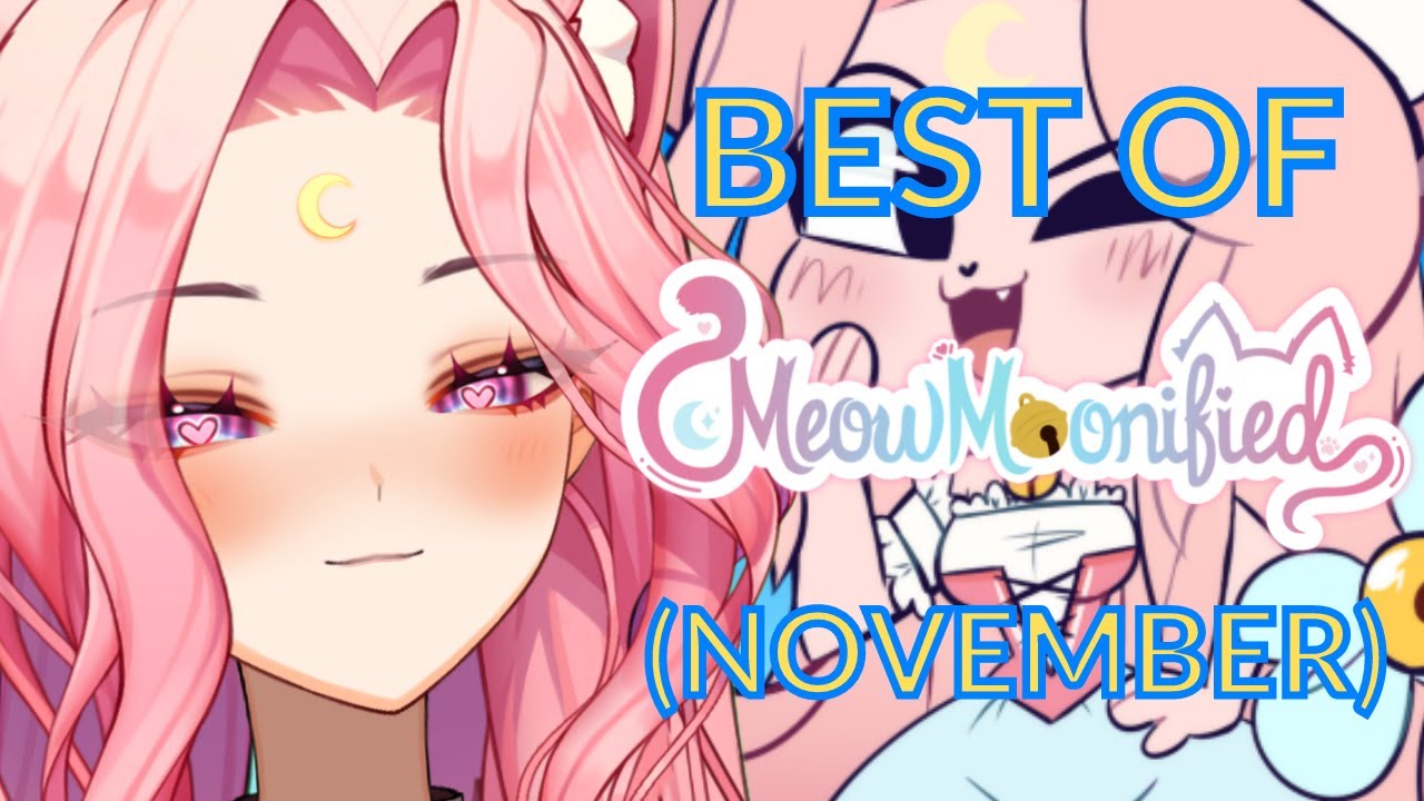 Best of MeowMoonified! (November 2022) - YouTube