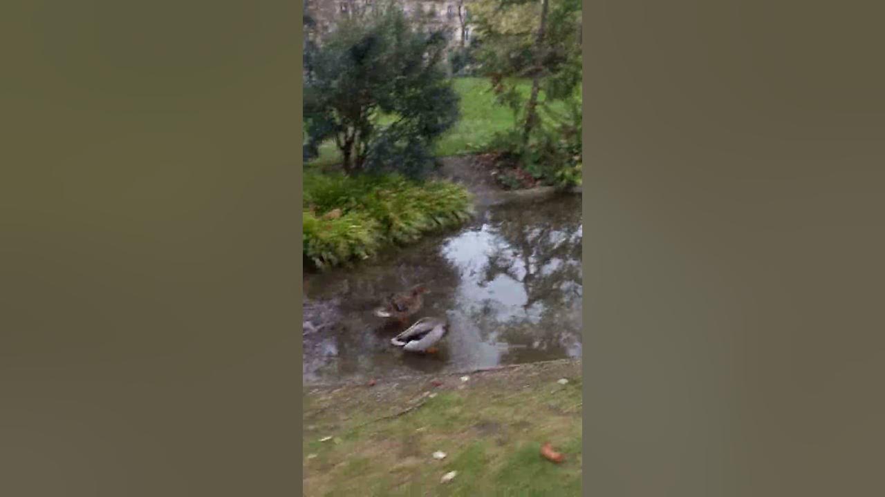 tambay sa park - YouTube