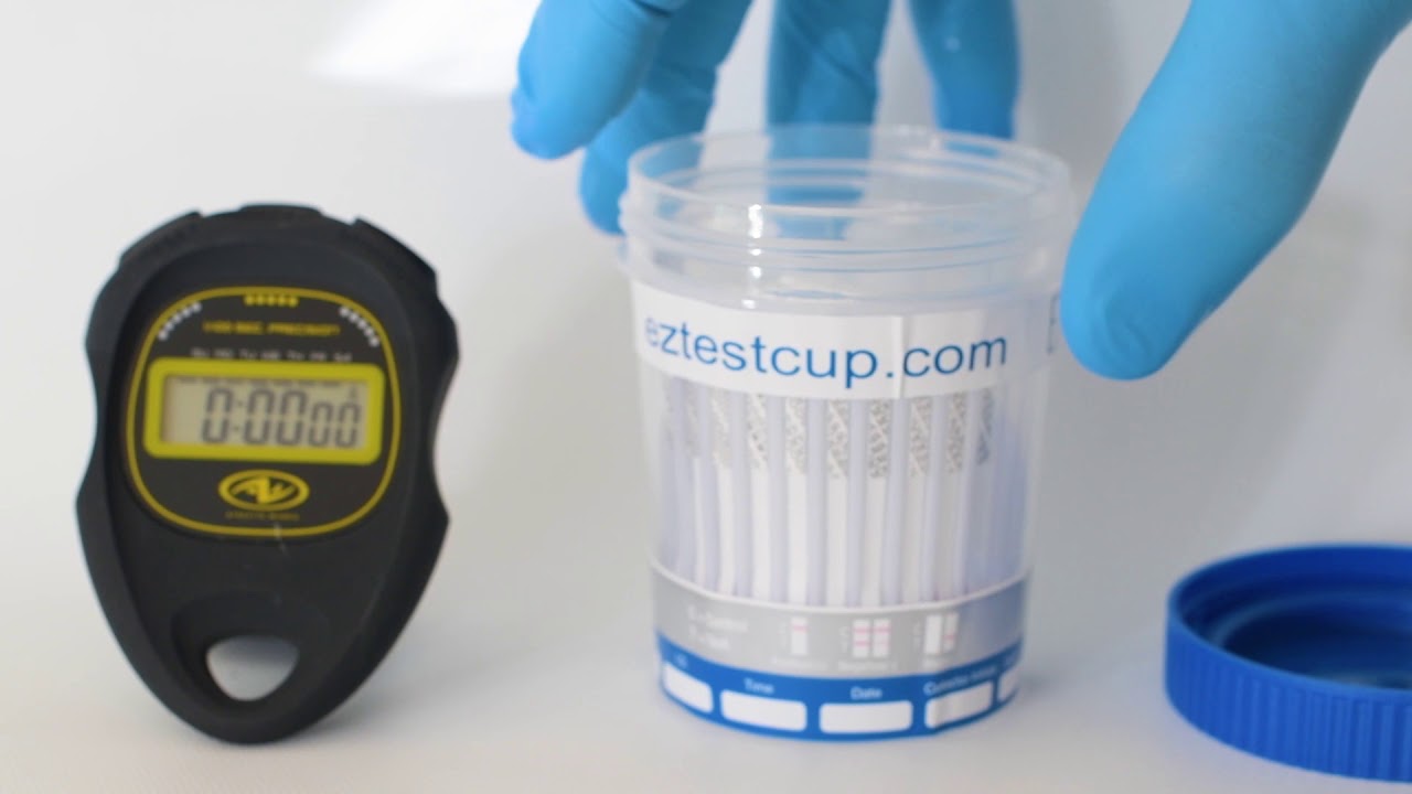 How to use a Drug Test Cup by EZ Test Cup - YouTube