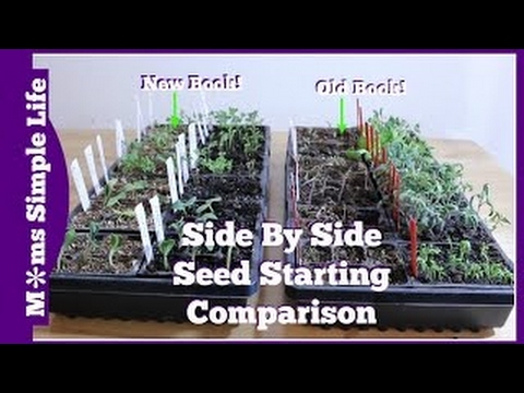 Mittleider Gardening Method: Seed Start Comparison Update - YouTube