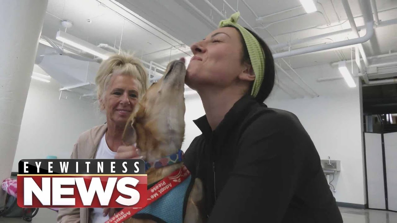 WTVO Eyewitness News for April 13th, 2024 (Full Broadcast) - YouTube