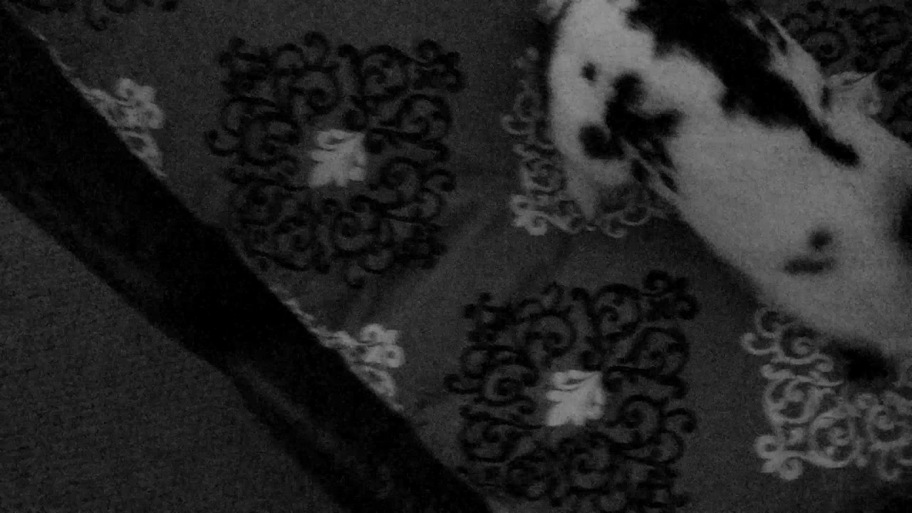 Finna Buster Nut - YouTube