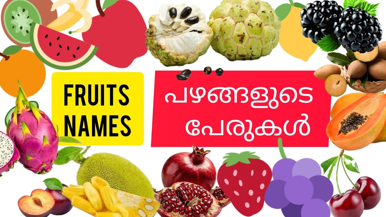Fruits names പഴങ്ങളുടെ പേരുകൾ || fruits names in Malayalam - YouTube