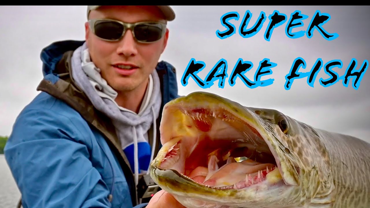 CATCHING THE RAREST FISH IN WISCONSIN! - YouTube