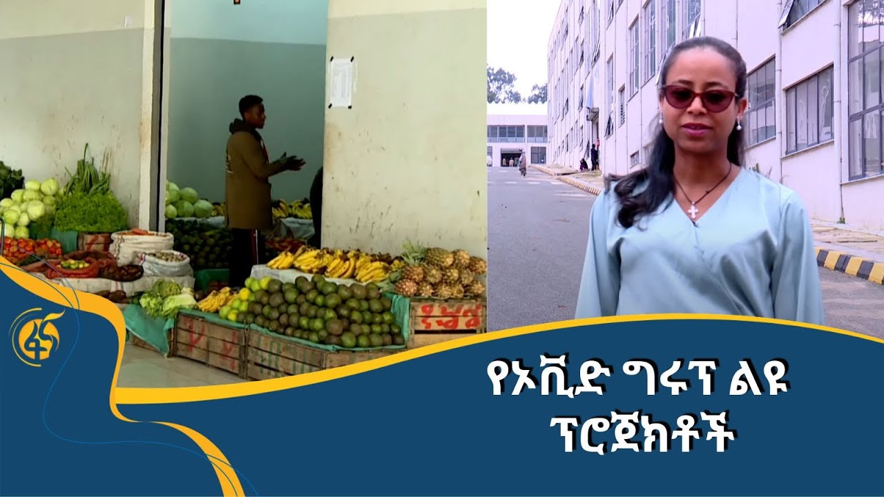 የኦቪድ ግሩፕ ልዩ ፕሮጀክቶች Youtube