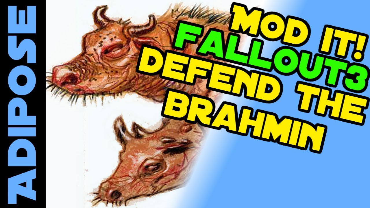Fallout 3 MOD IT! 1 : Defend the Brahmin - YouTube