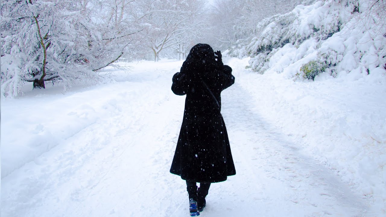 Too Much Snow This Winter -Snow Day Walk Around A Quiet Neighborhood In ...