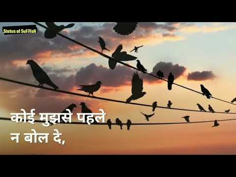 WhatsApp status Happy new year 2019