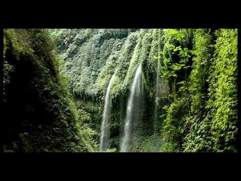 Nature Sounds Waterfall - Relaxing Meditation W/O Birdsong-Calming ...