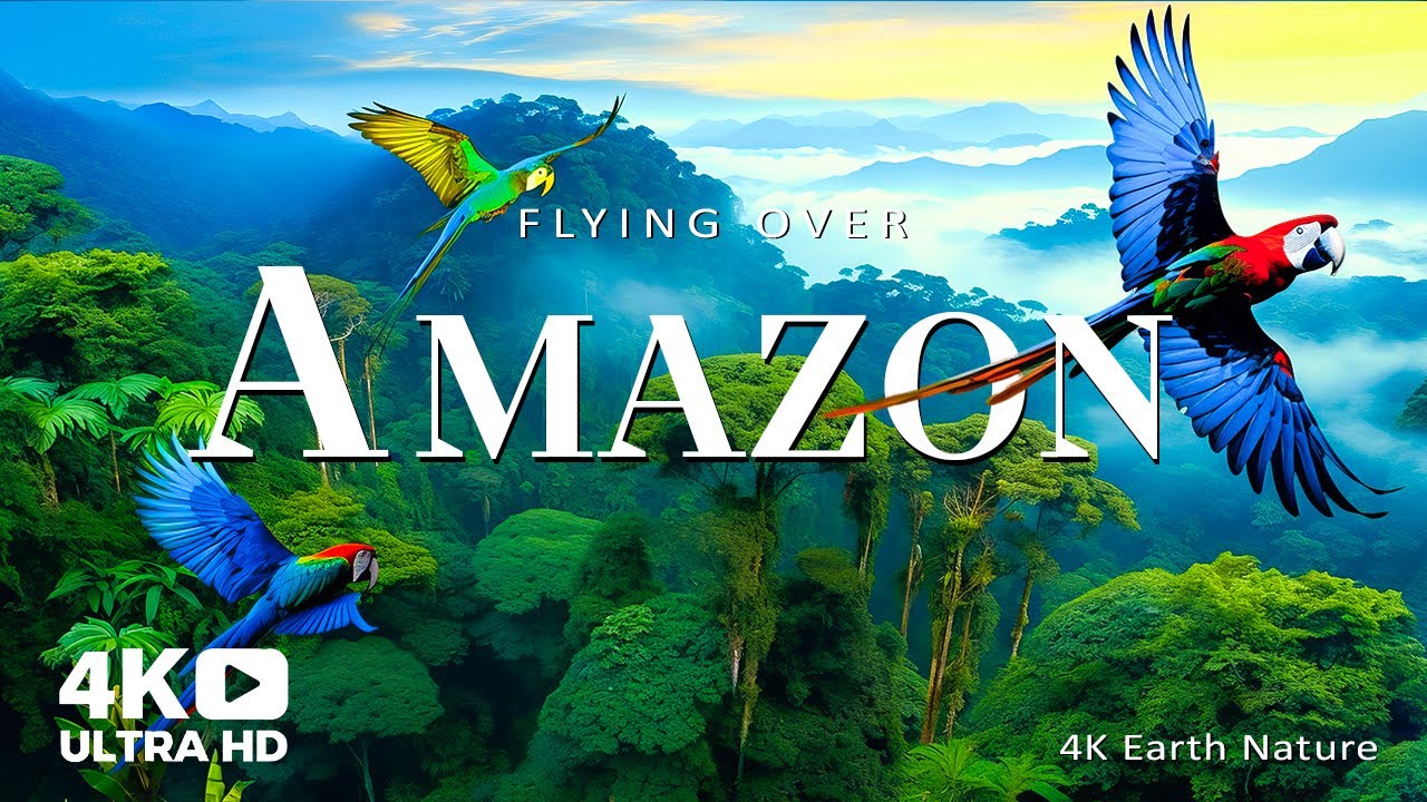 AMAZON 4K • 4K Earth Nature • Beautiful Landscapes With Relaxing Music ...