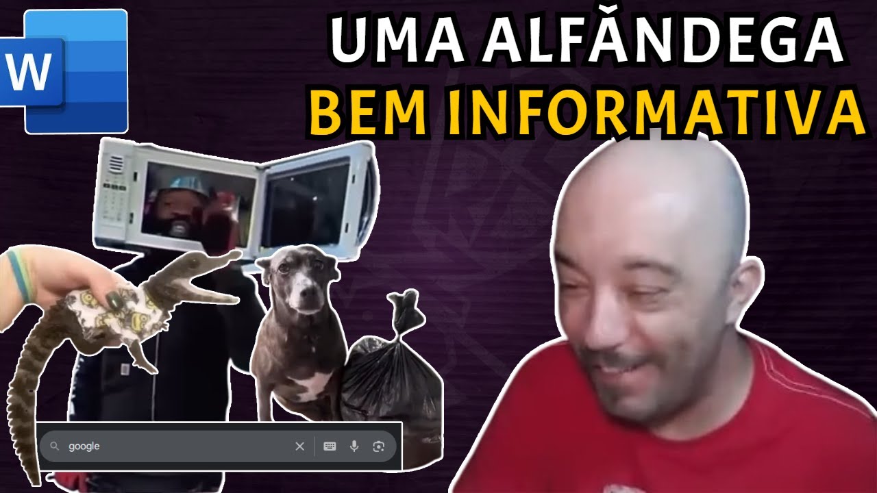 ALFÂNDEGA de MEMES quer saber: Quem é um bom garoto? ahn? ahn? QUEM É ...