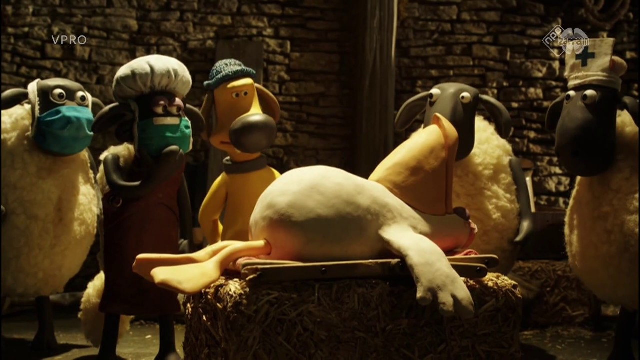 Shaun het schaap - De Pelikaan - YouTube