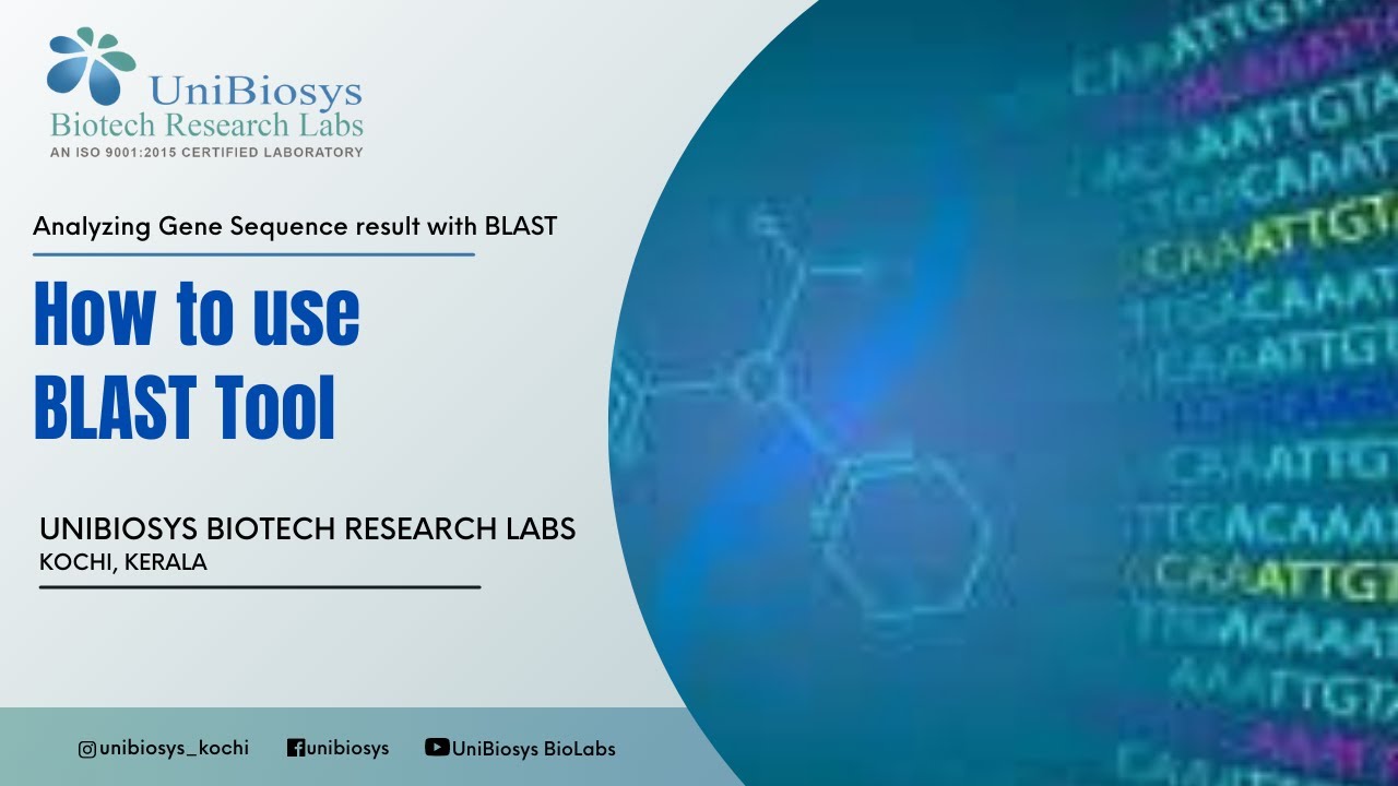 How to use BLAST Tool | Analyzing Gene Sequence result with BLAST ...