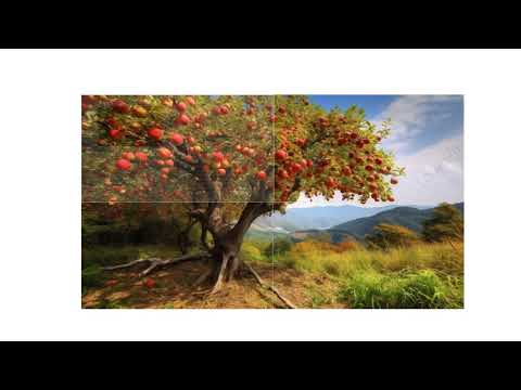 PPT SLIDE ZOM ELVIANA 22MP-1