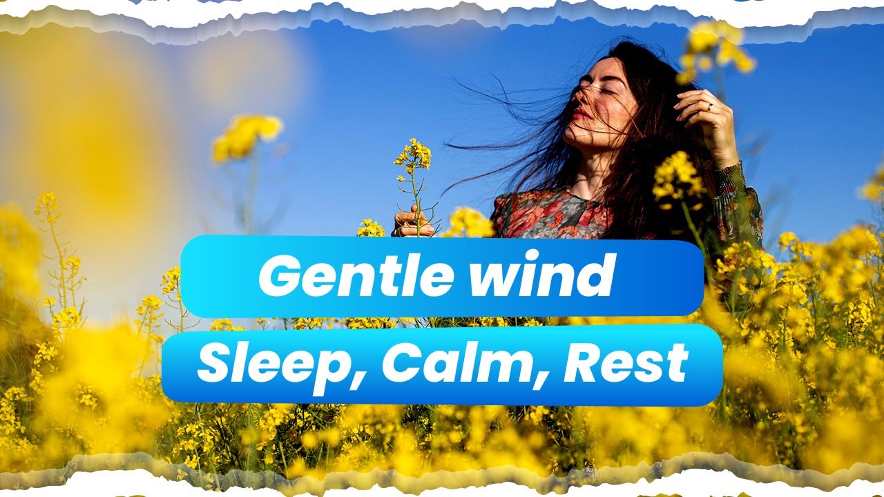 Wind | gentle wind | sleeping, calming, resting - YouTube