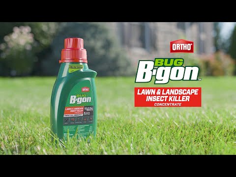 Does Bug B Gon Kill Spider Mites