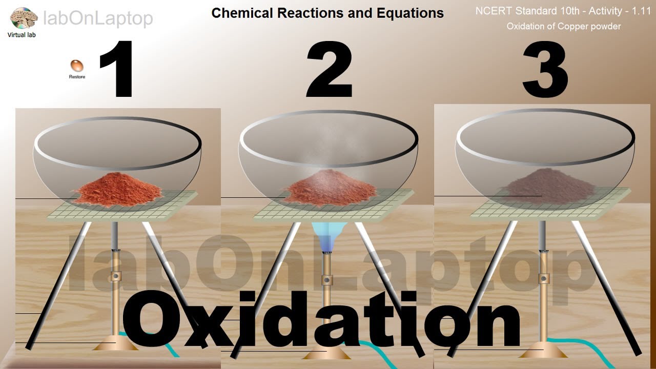 NCERT Class 10th - Activity 1.11 | Oxidation of Copper Powder ...