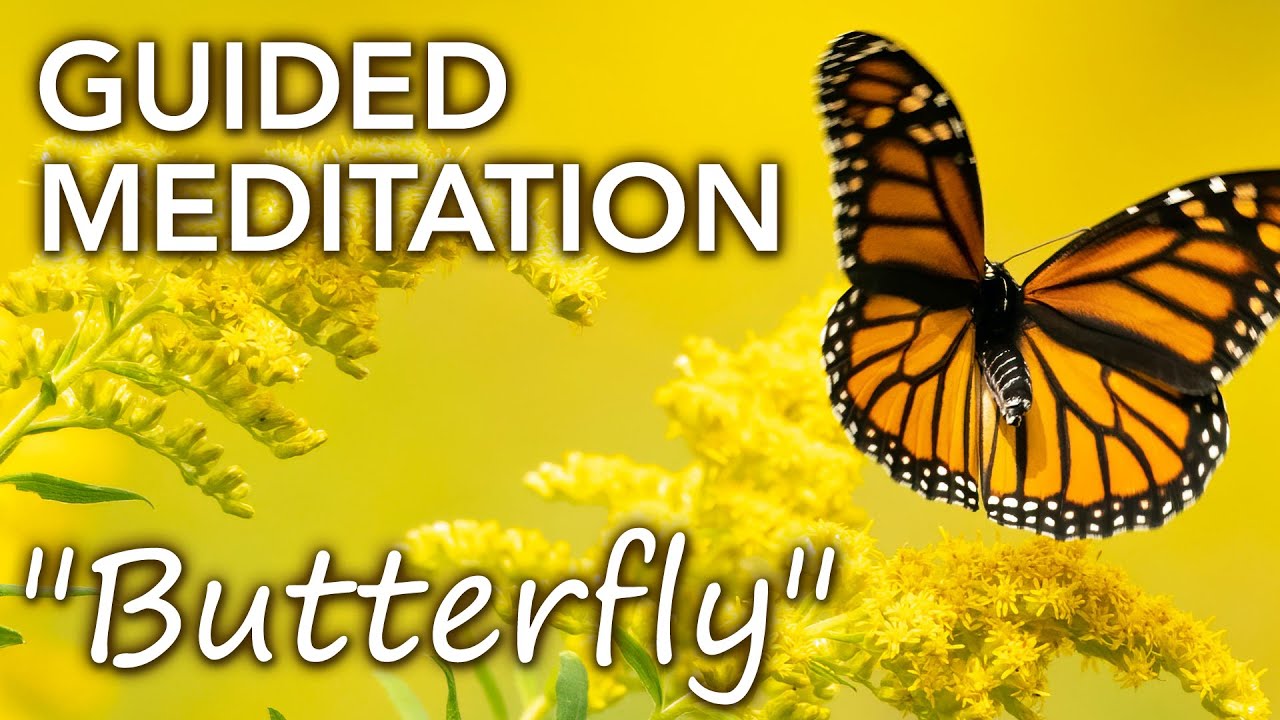 Butterfly meditation - relax with this sweet guided visualisation - YouTube