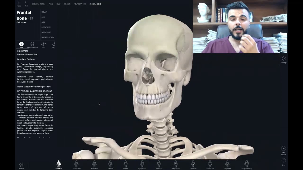 Lecture :1 Skull Anatomy p2 - YouTube