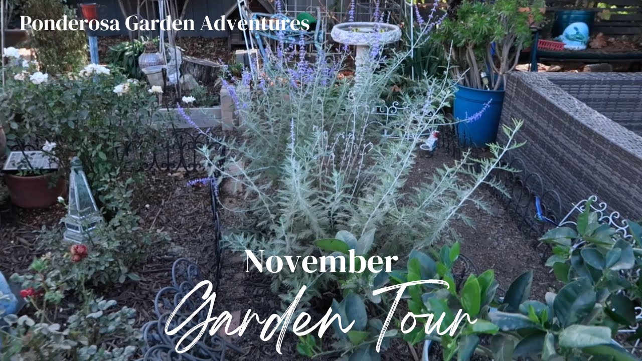 November Garden Tour - YouTube