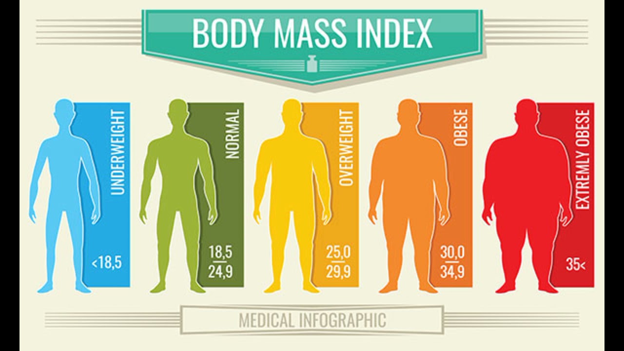 Health and physical Education grade 6 Body mass index - YouTube