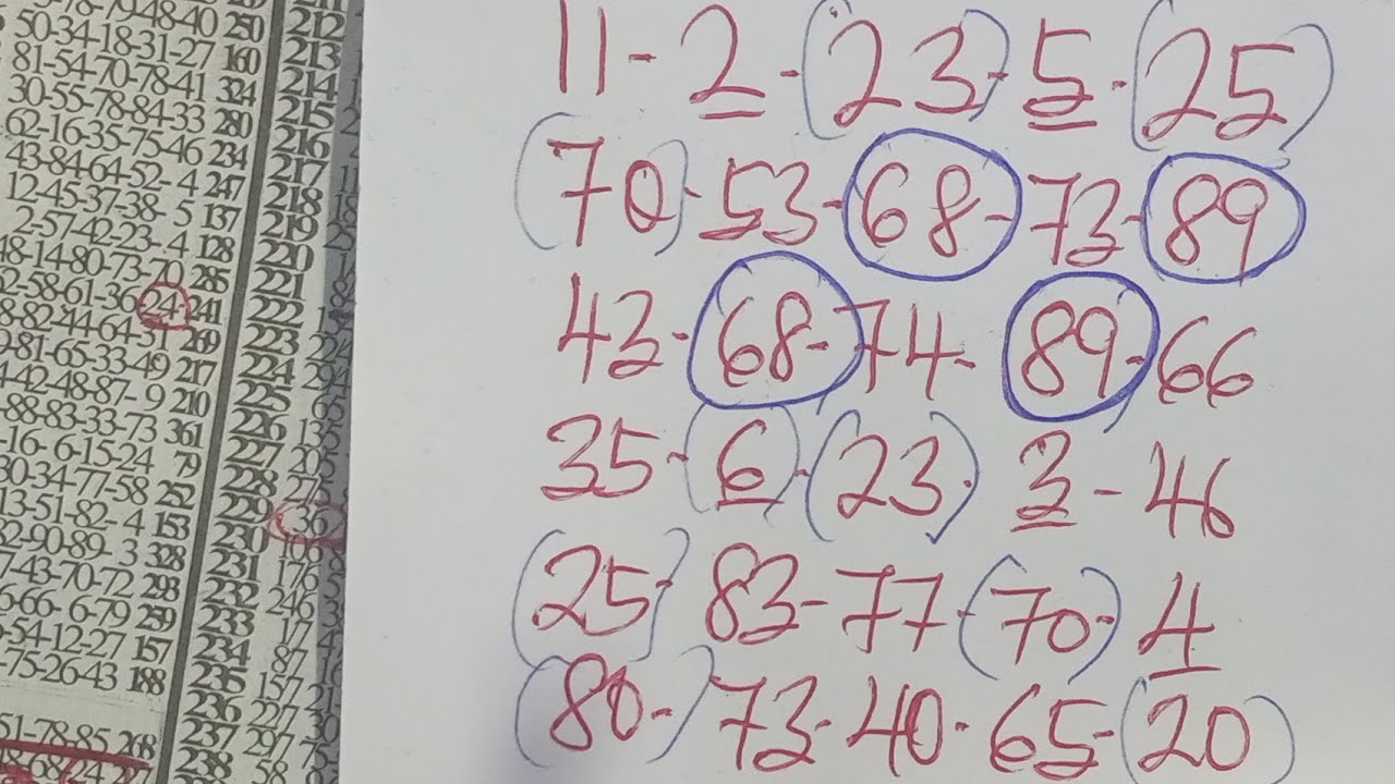 Hot 🔥 Alpha Prime Friday Lotto Results Numbers Predictions For Today ...