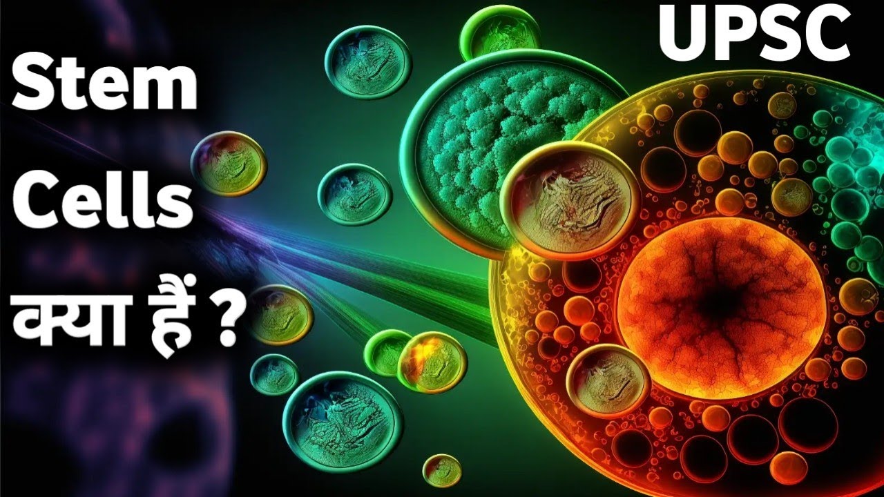 Stem Cells क्या हैं ? | Use of stem cells | Simple CSE - YouTube