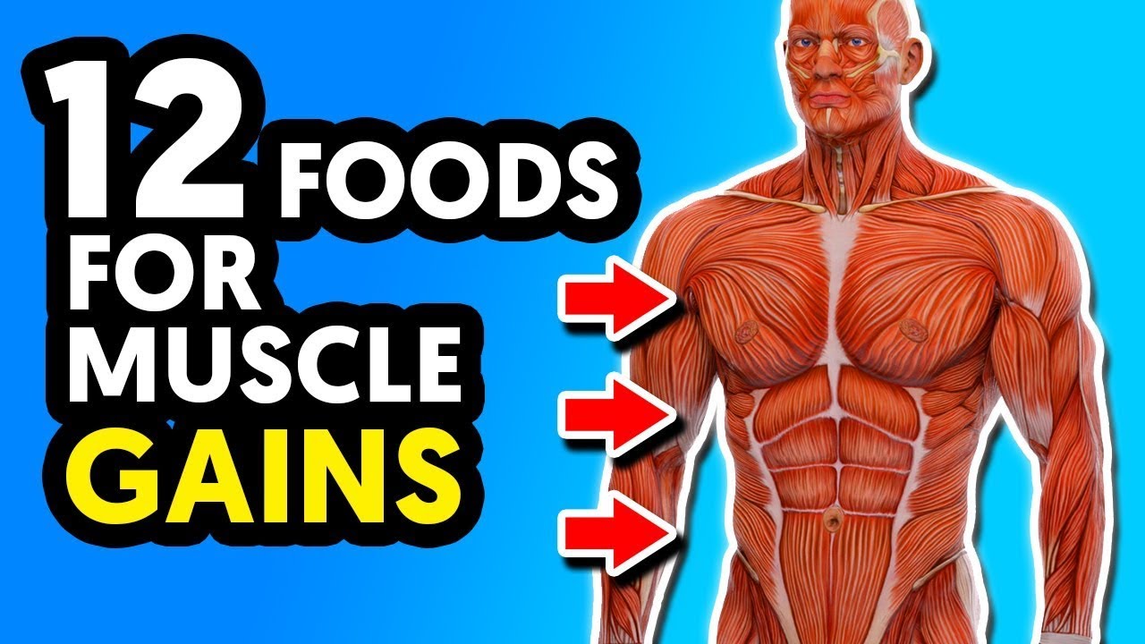 12 Mighty Foods for Muscle & Strength: Your Ultimate Guide - YouTube