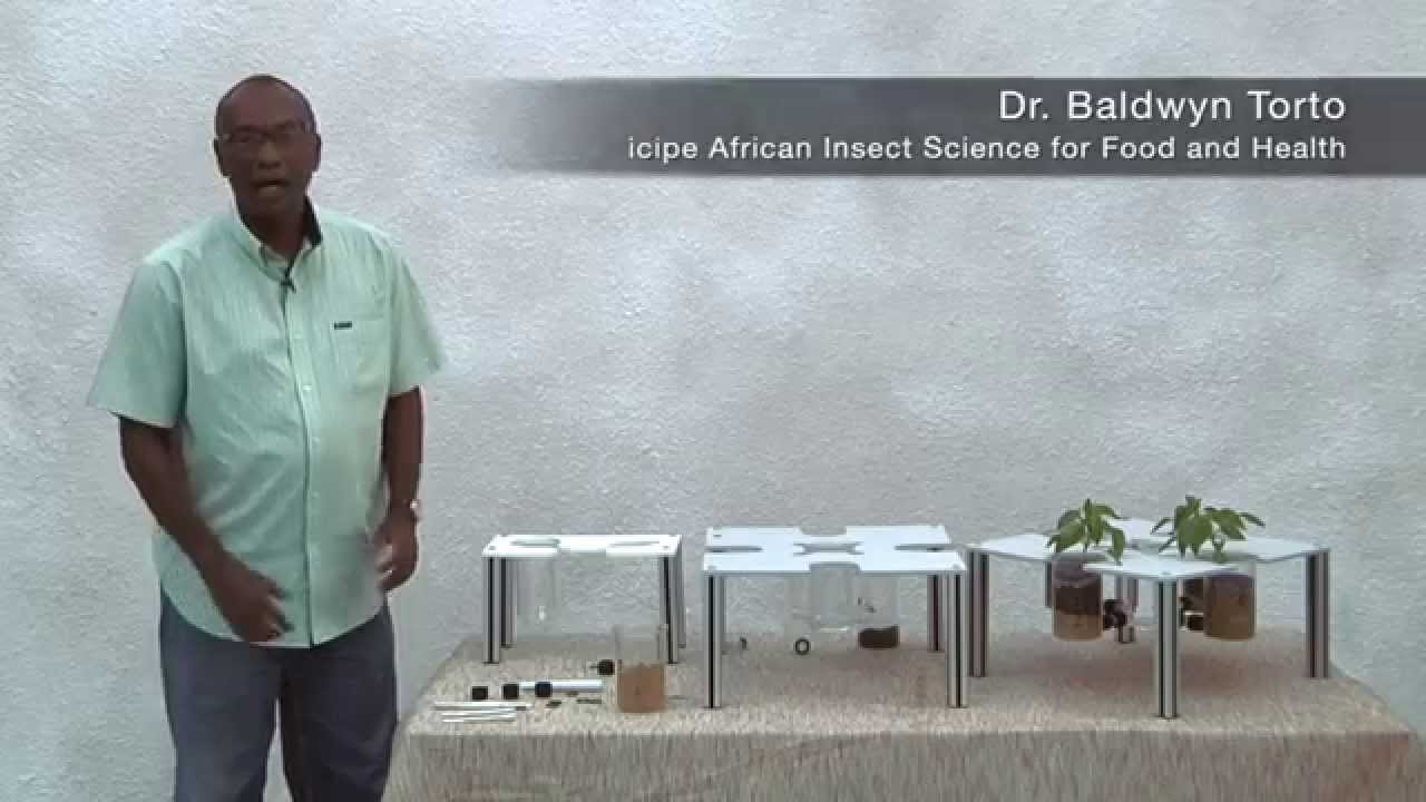 Sigma Soil Olfactometer / Nematode Olfactometer - YouTube