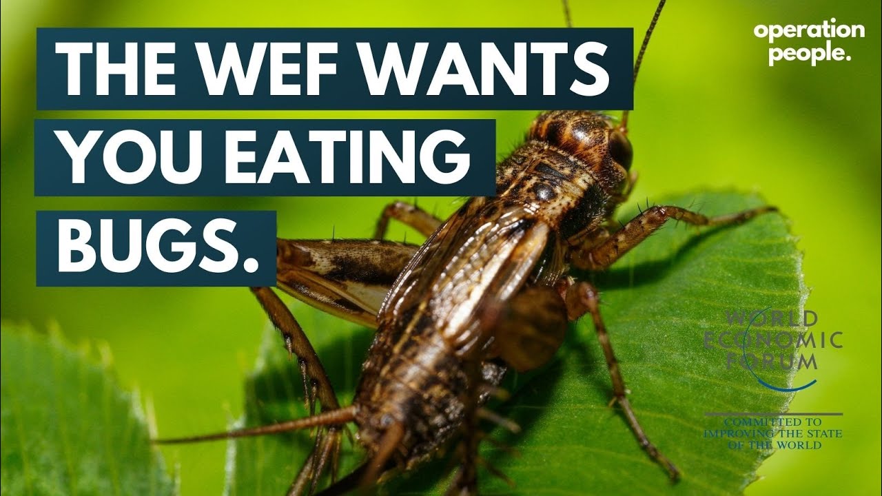 Victoria, Australia is banning the sharing of game meat. Will other ...