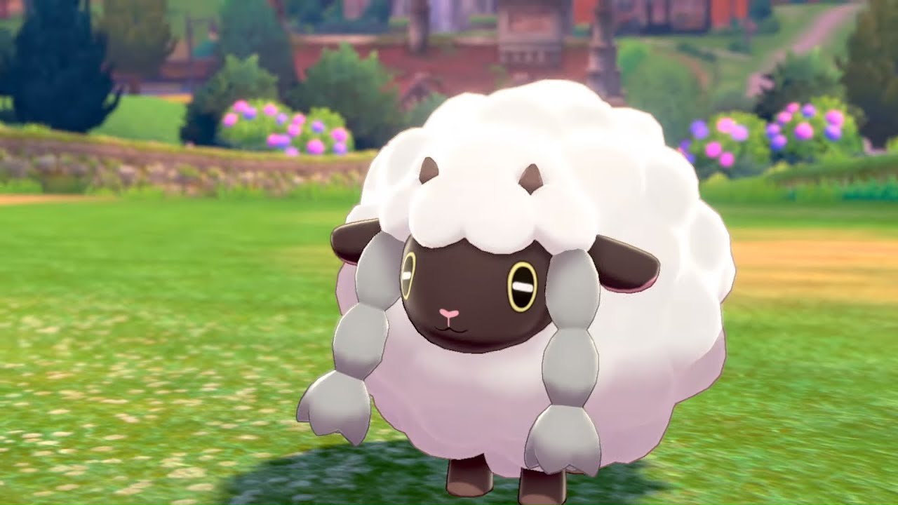 How To Catch Wooloo in Pokemon Sword and Shield - YouTube