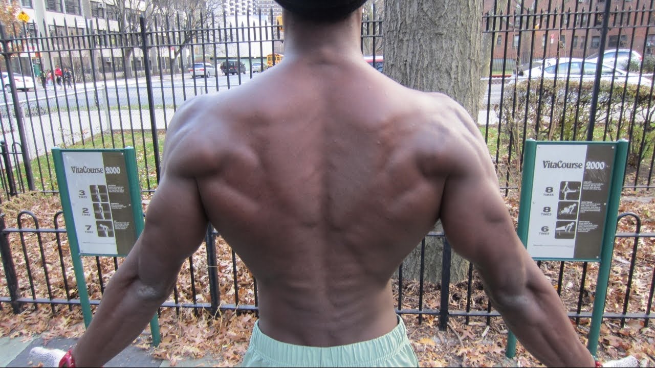 Best Back Exercise you need to do that will "BUILD A BIGGER BACK ...