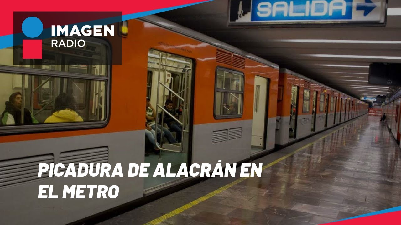 Mujer es picada por alacrán mientras estaba en el Metro de CDMX - YouTube