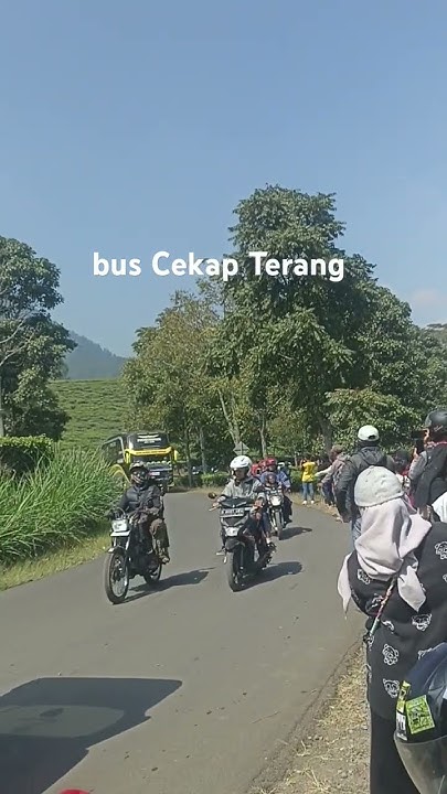 Trip wayang windu 20 Juli 2024 #bus #busmania #basuri #subscribe #shorts - YouTube
