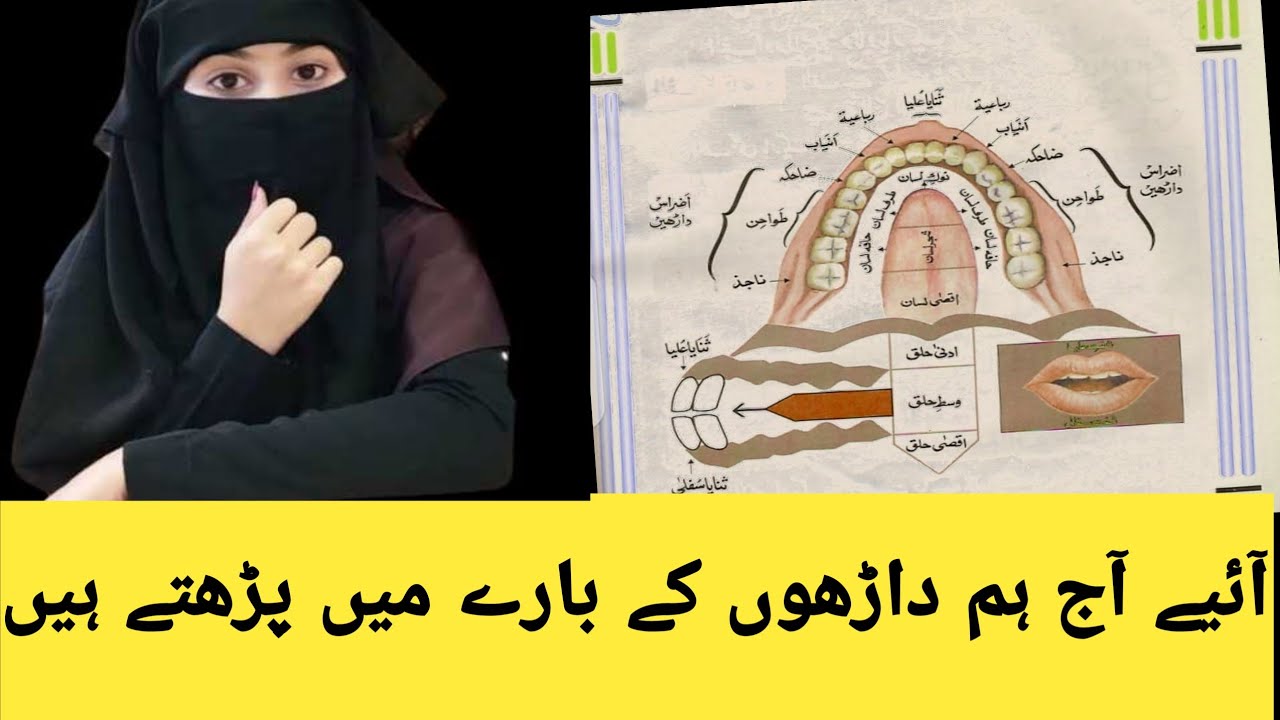 danto ke naam in arabic / arabic the names of teeth # lesson number 2# ...